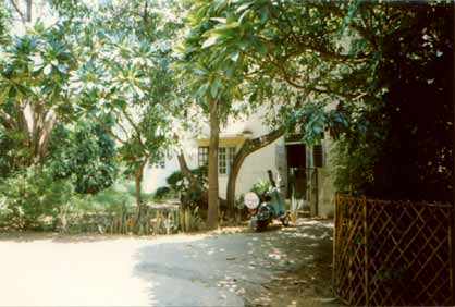 Elizabeth Brunner and how I met her | IGNCA